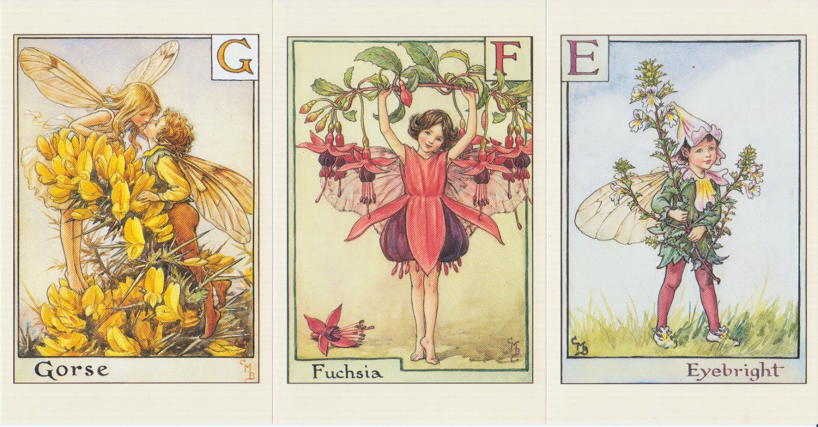 Flower Fairies One Hundred Postcards by Cicely Mary Barker ...