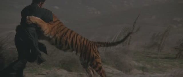 widescreen revenge: Tiger Killer (Wu song - 1982)