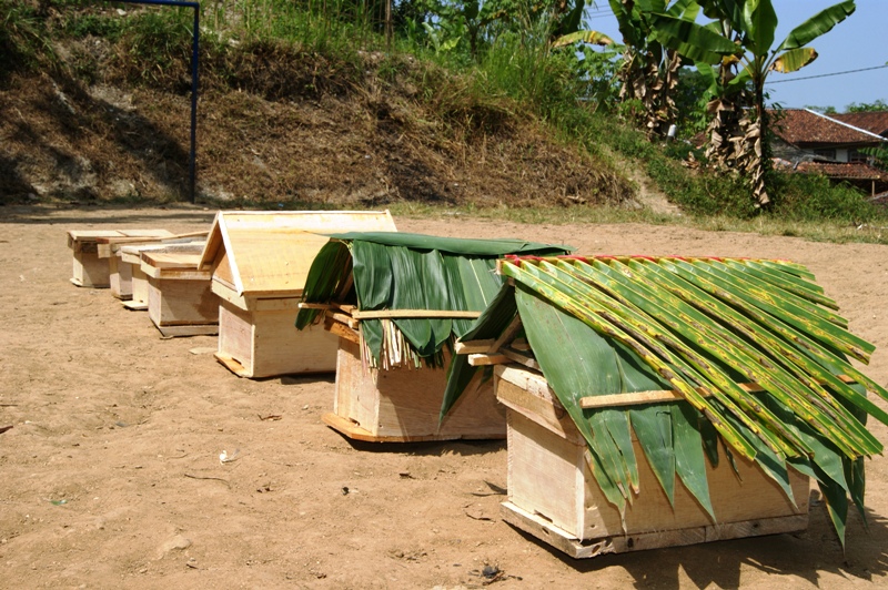 The Grateful Place, Bantar Agung: Pelatihan Tahap II : Pelatihan ...