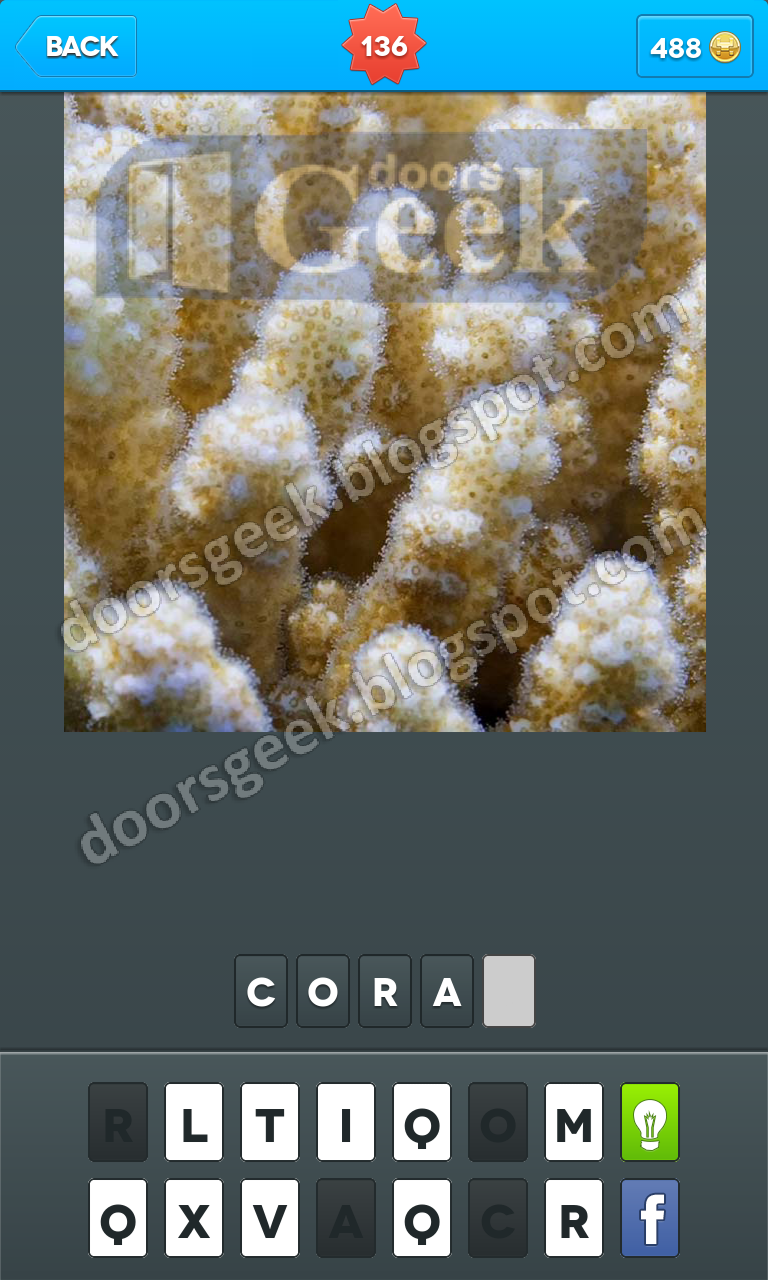 Zoomed In - Photo Word Game Level 136 ~ Doors Geek