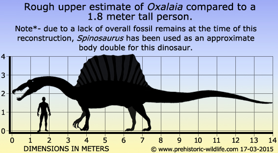 Natureza de mármore: Simulando Confrontos | Oxalaia vs Pycnonemosaurus