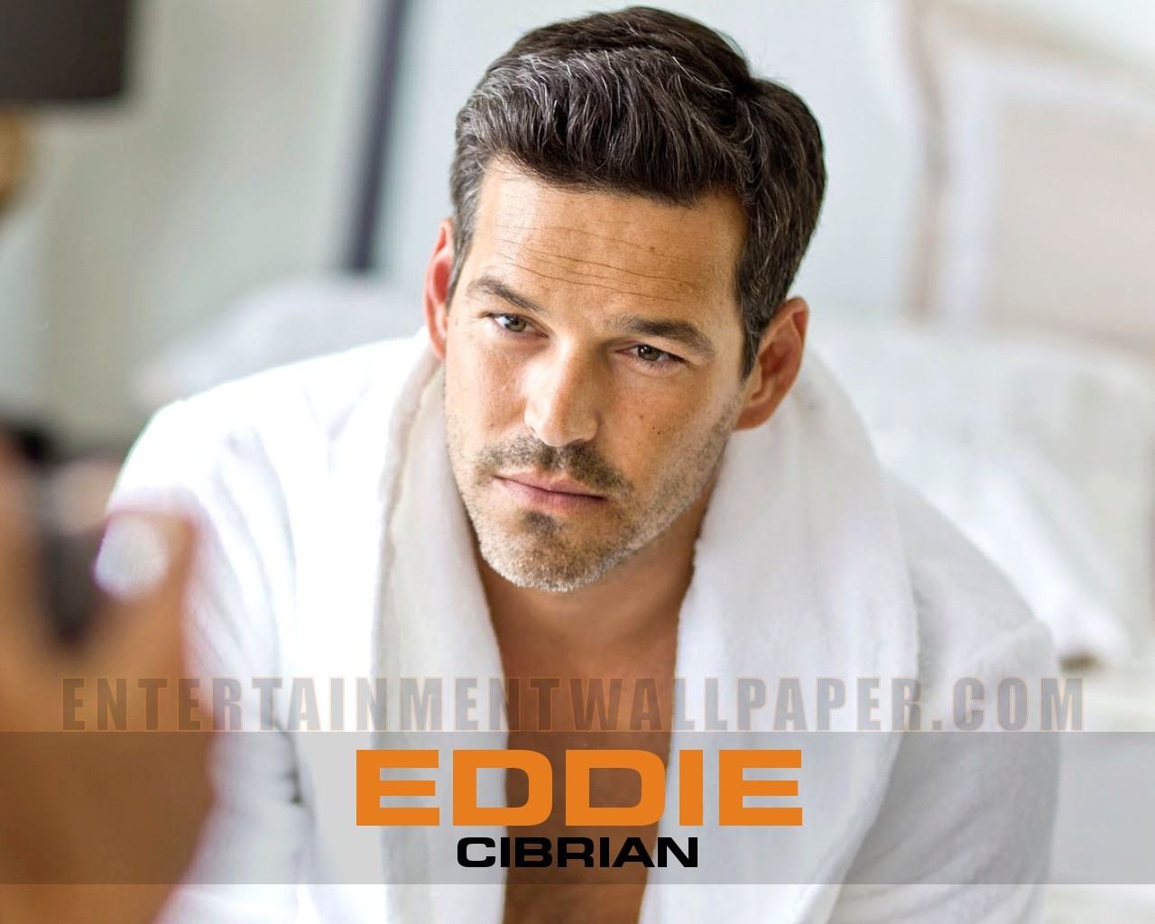 Jami Burch: eddie cibrian wallpaper hd