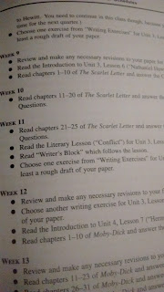 troutwife: Lightning Lit & Comp: American Literature (Early-Mid 19th ...