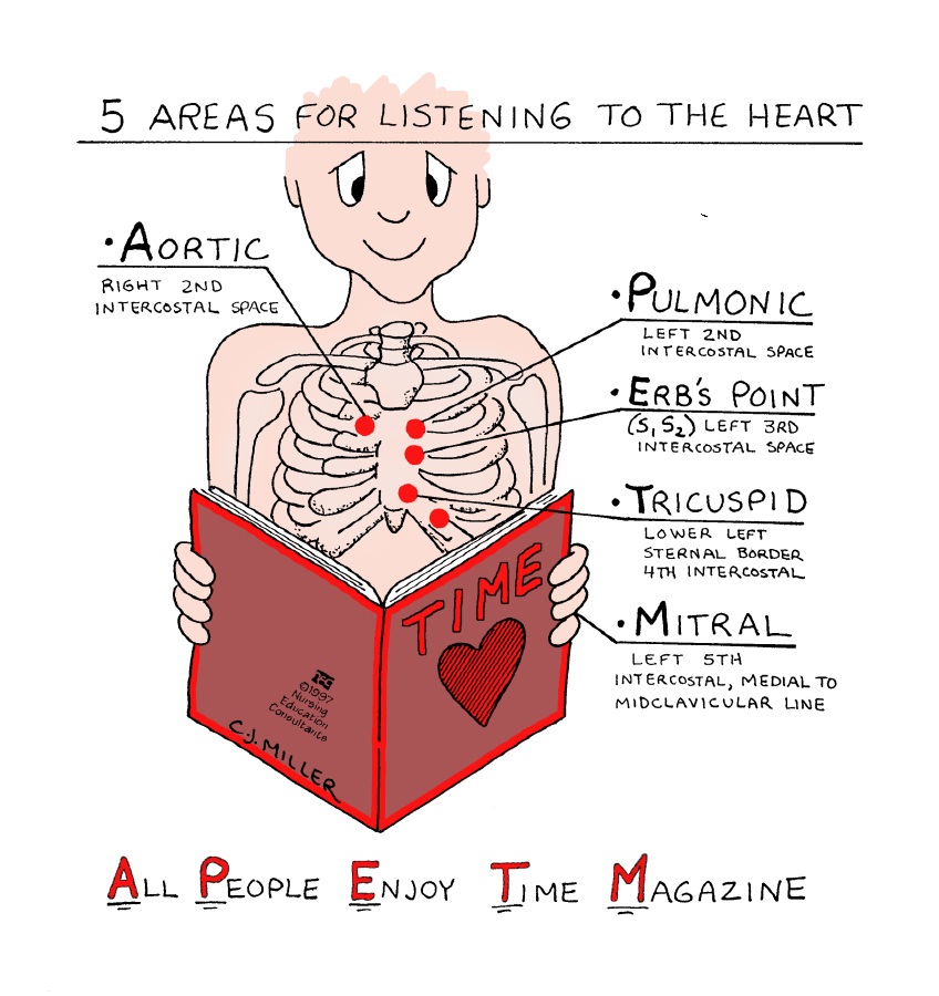medical: Heart Auscultation