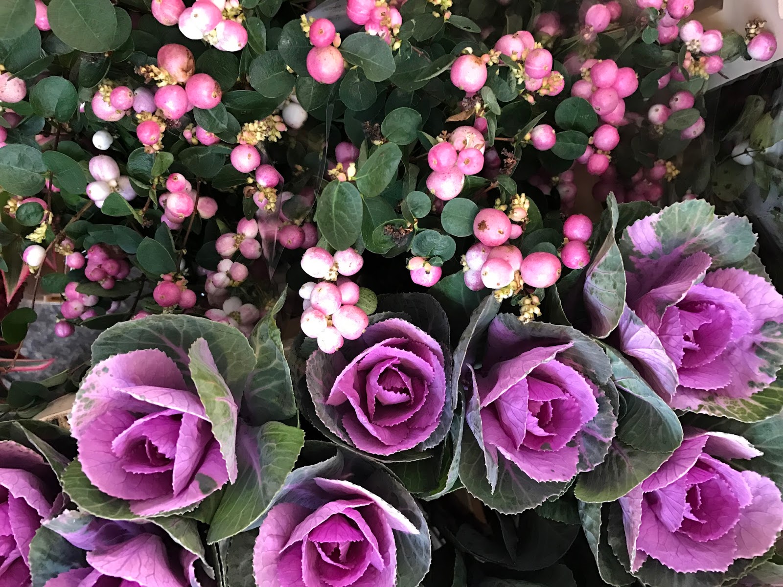 My Week in Photos - from antique fairs to halloween to autumn leaves ...