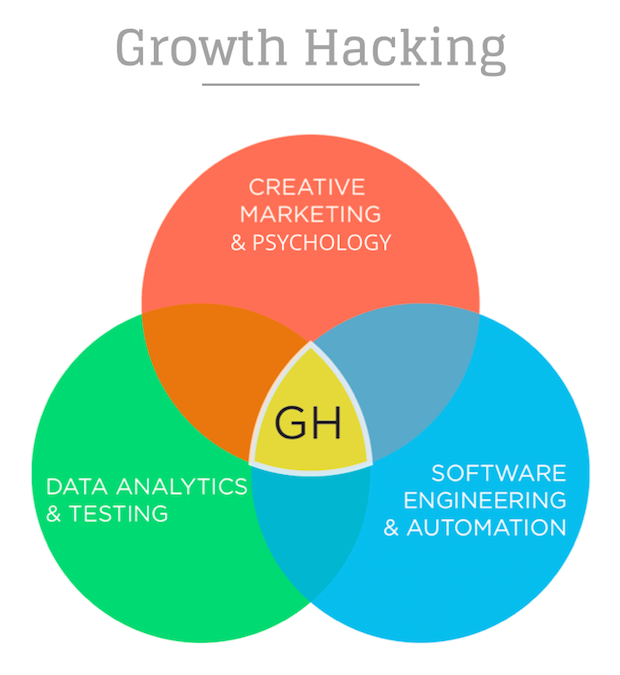 Growth Hacking : une définition en image Growth Hacking : une définition en image