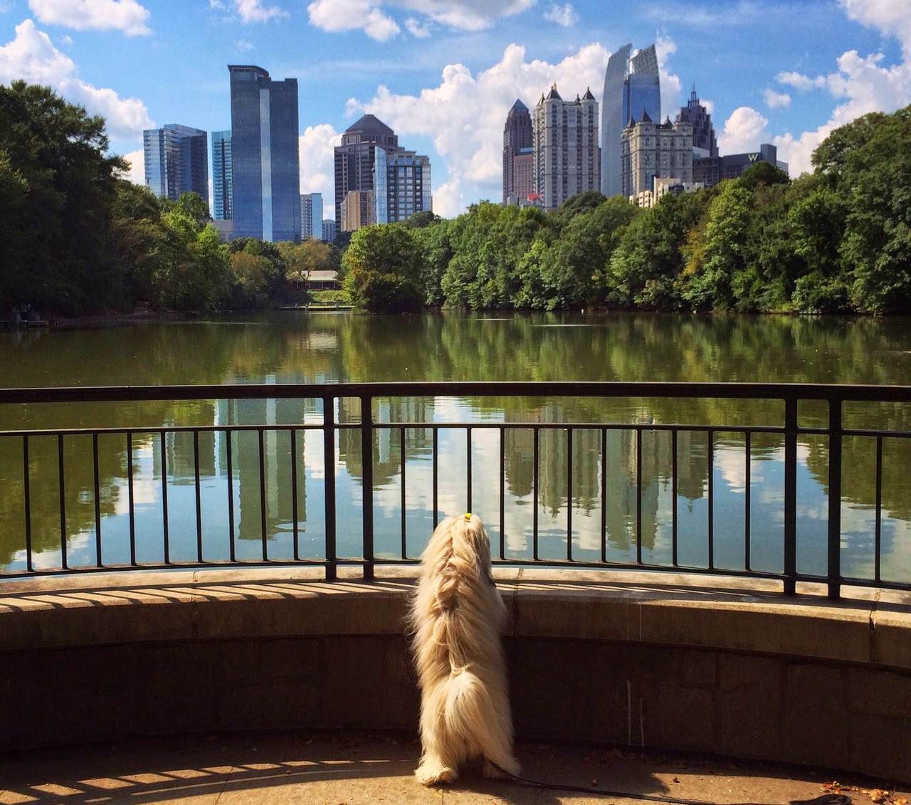 To Dog With Love: 8 Great Places to Walk Your Dog in Atlanta