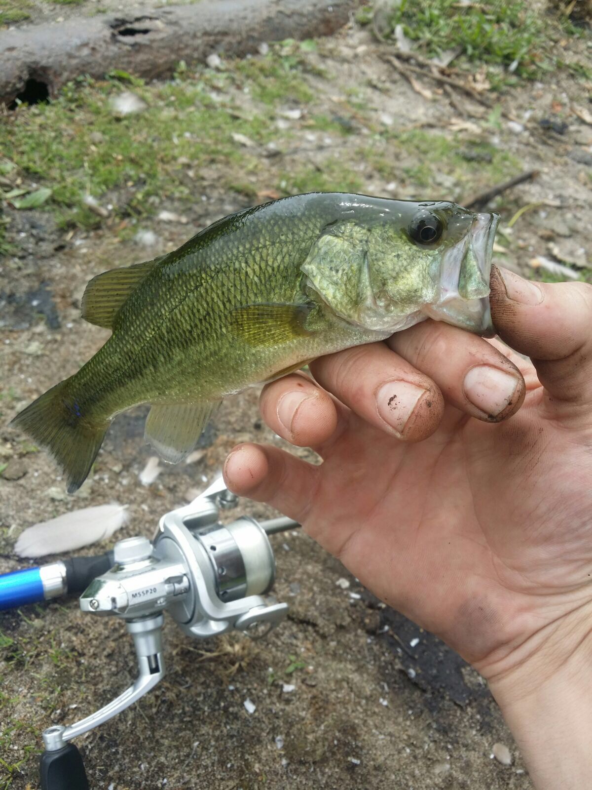 Chasing Tails Bait & Tackle