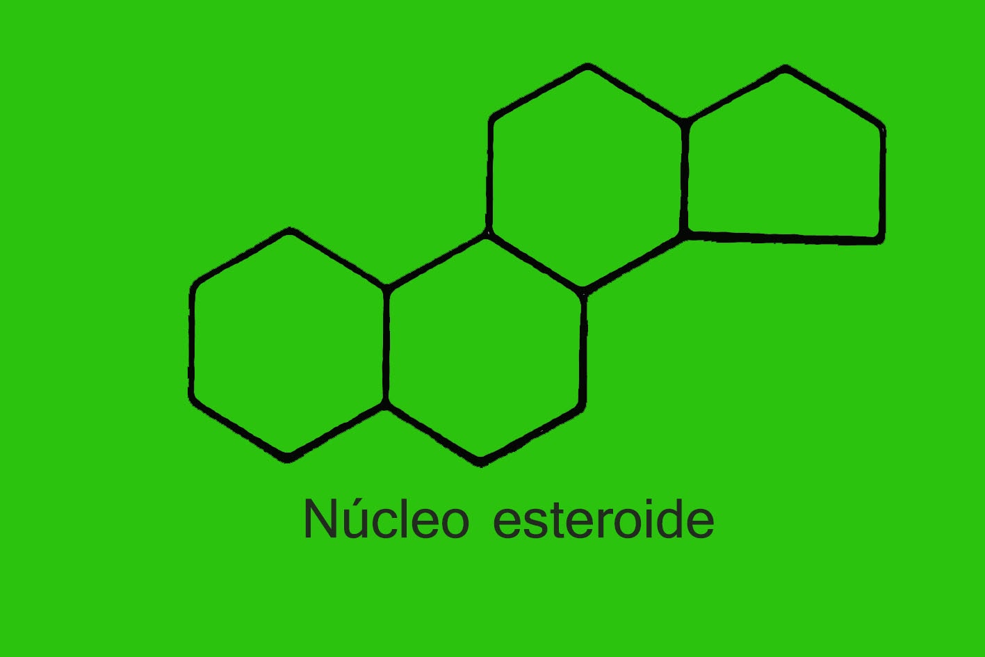 Charly´s Professional biologist: LO BÁSICO DE LIPIDOS Y PROTEÍNAS