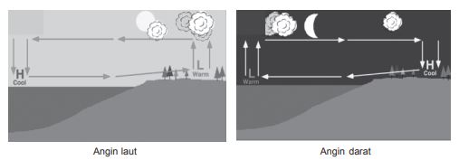 Pengertian Angin Sifat Dan Macam Macam Angin Mediaedukasi Sekolah - Riset