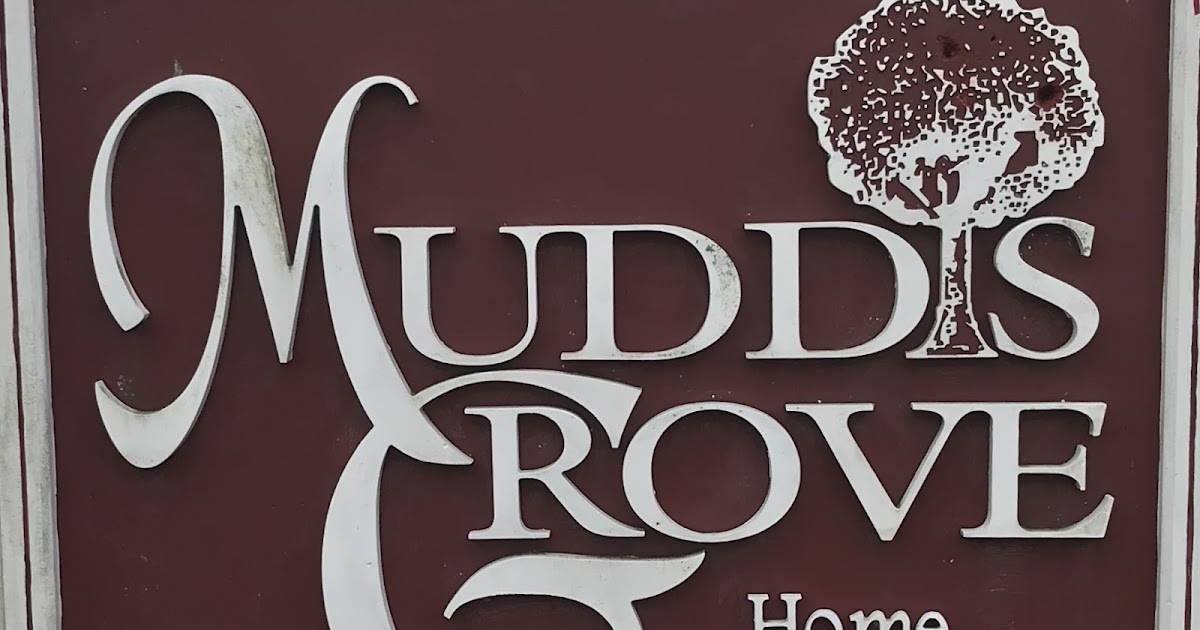 St. Louis Museums: Mudd's Grove