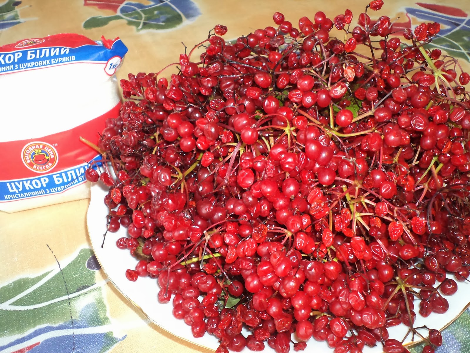МОЯ ЖИЗНЬ НА ПЕНСИИ В КРЫМУ: Желе из калины красной