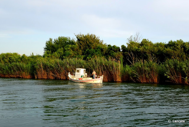 En busca de la cuadratura del círculo: Acheron o Aqueronte, mítico río