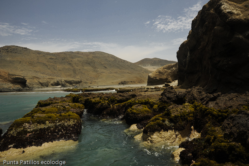 Eco-lodge Punta Patillos