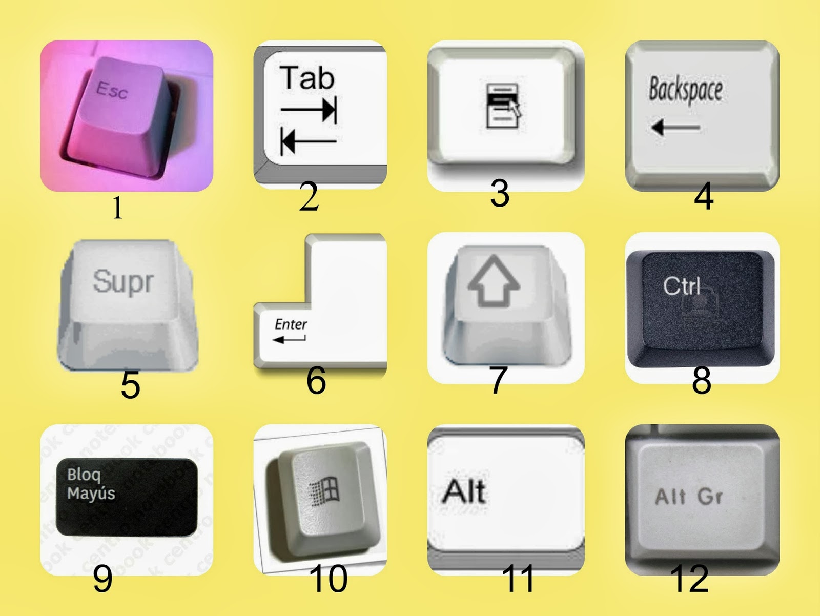 Informàtica 1: Conocimientos de Hadware y Software