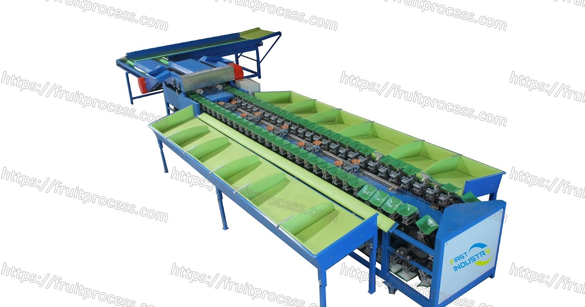 Automatic feeding fruit weight grading machine