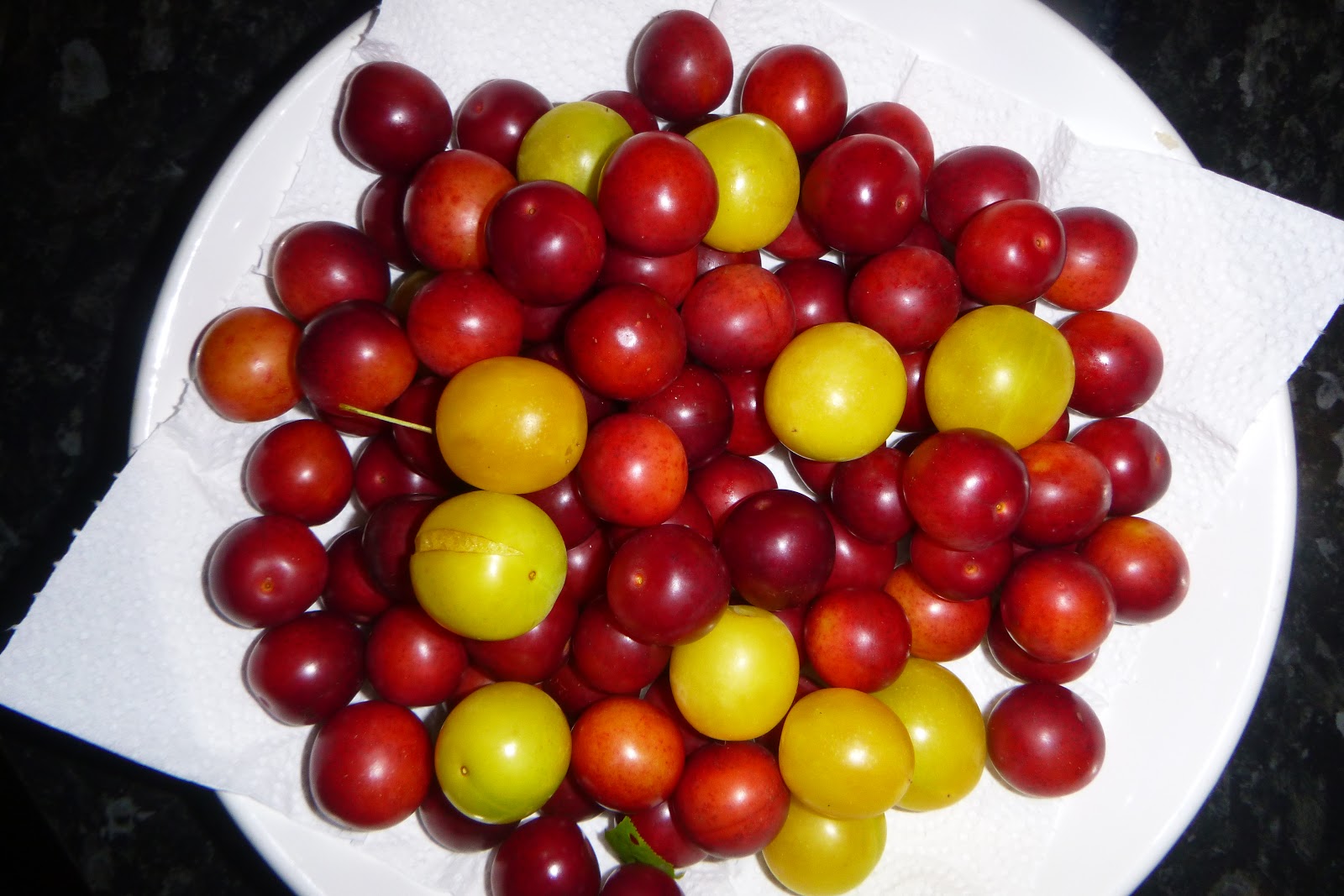 The Urbane Forager: Cherry Plums