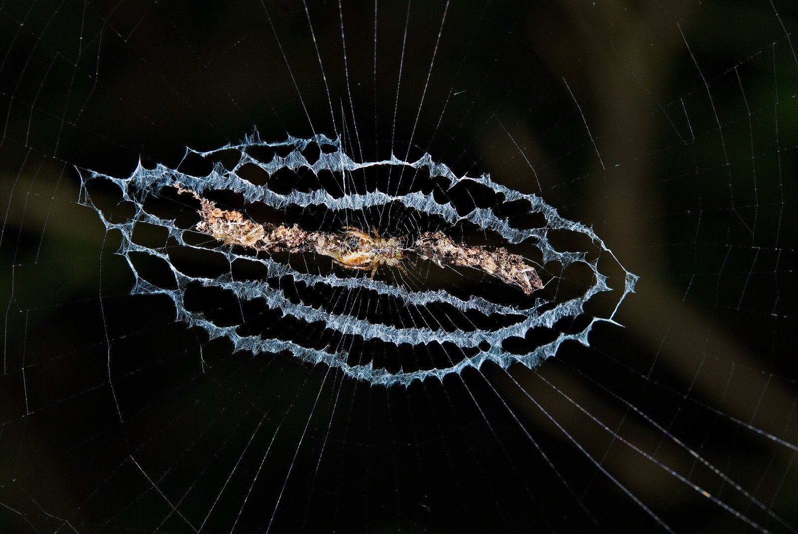 Real Monstrosities: Stability, Prettily