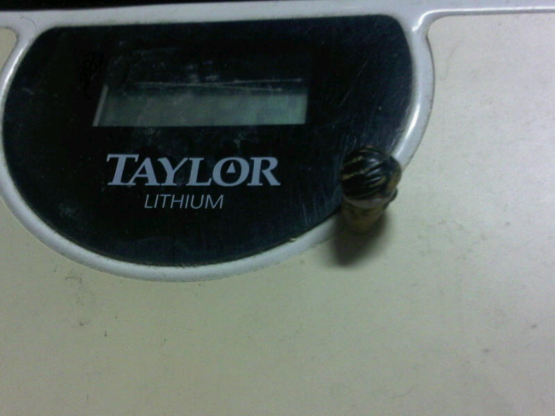 Disembodied Ninja: May 2011