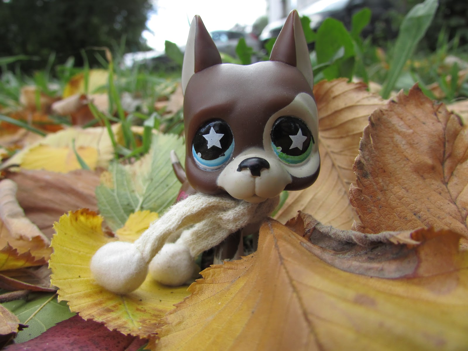 Mój świat LPS: 134. LPS: Jesienna sesja