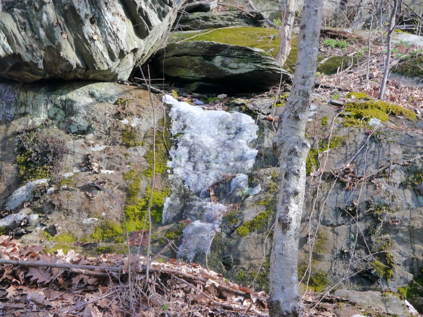 American Travel Journal: Rockfish Gap to McCormick Gap - Appalachian ...