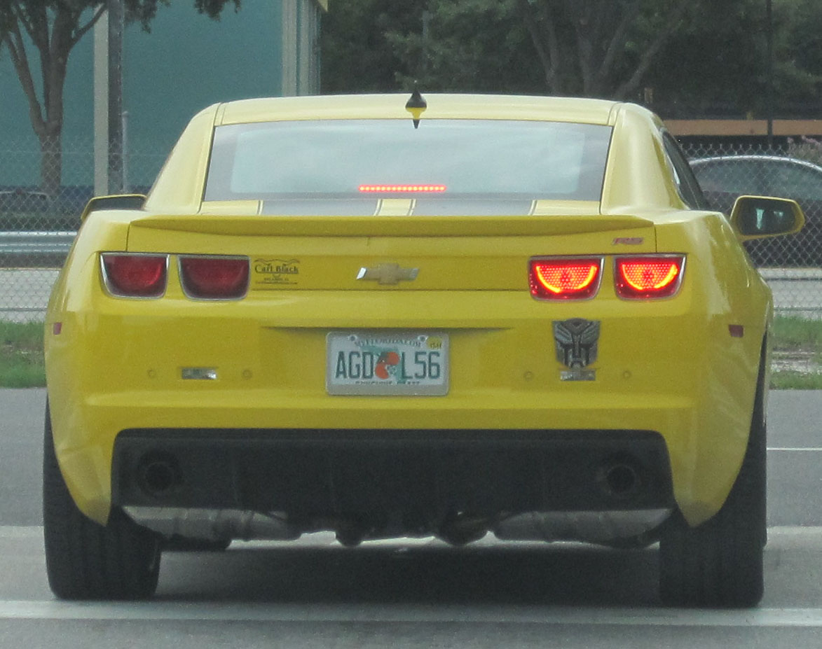 Retired in Paradise: Good Looking Rear Ends