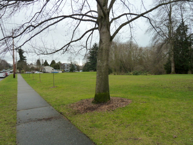 NW Artist: Learning About Life, Art & Spirituality: Licton Springs Park ...