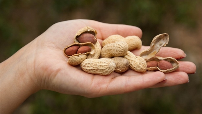If You Eating Peanuts Everyday, it is What Really Happens! - Go Well