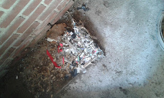 Thuis basis: Muizen in de schuur