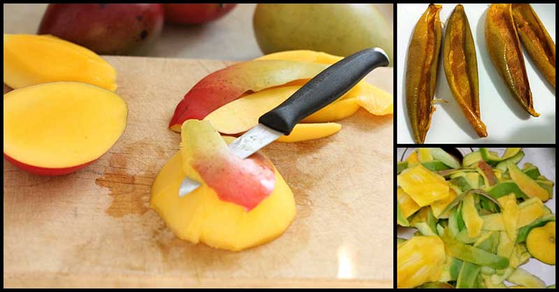 Mango Peels: A Delicious Way To Protect Us From Sun Damage | Dr Farrah MD