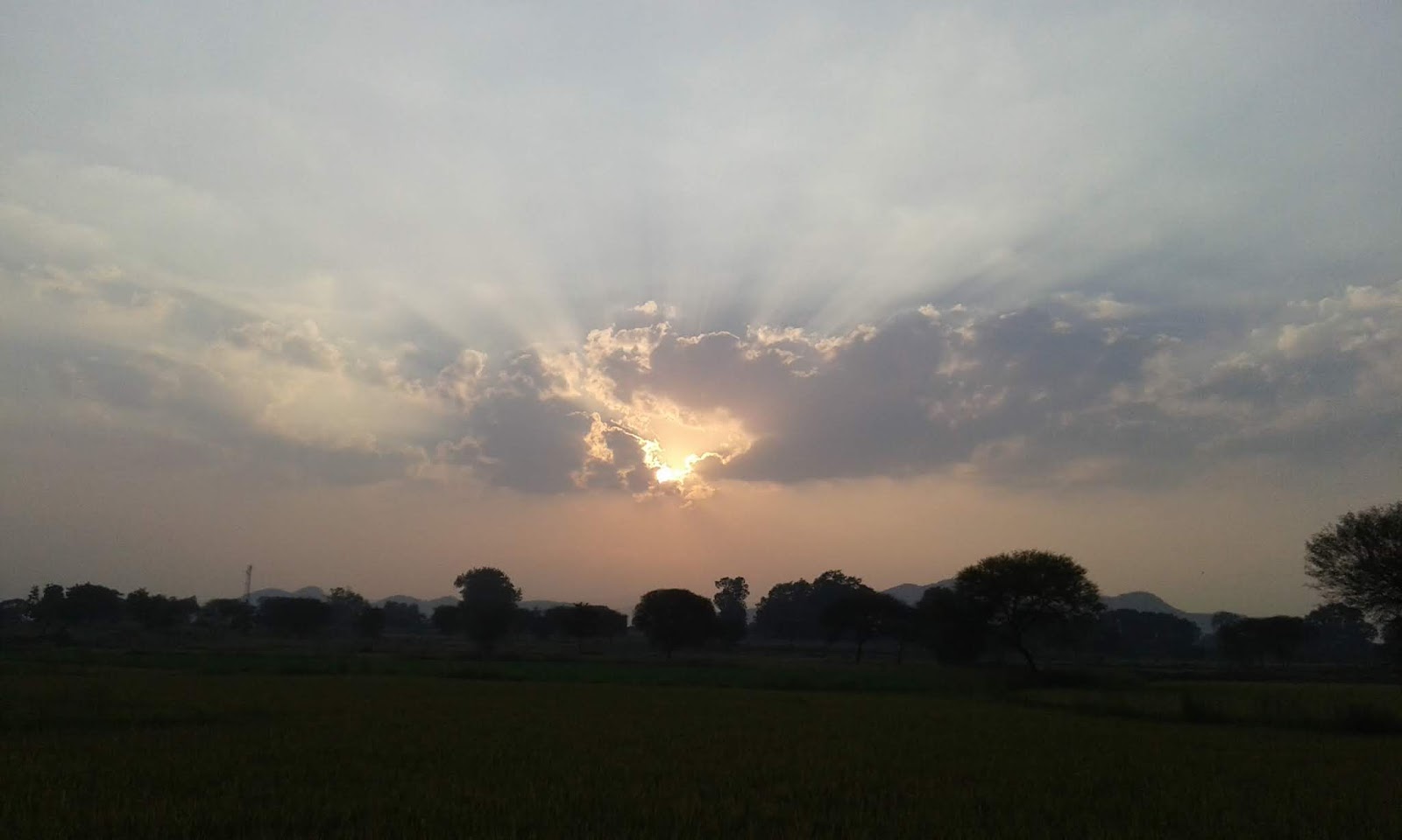 Narottam Majhi(Nutan)