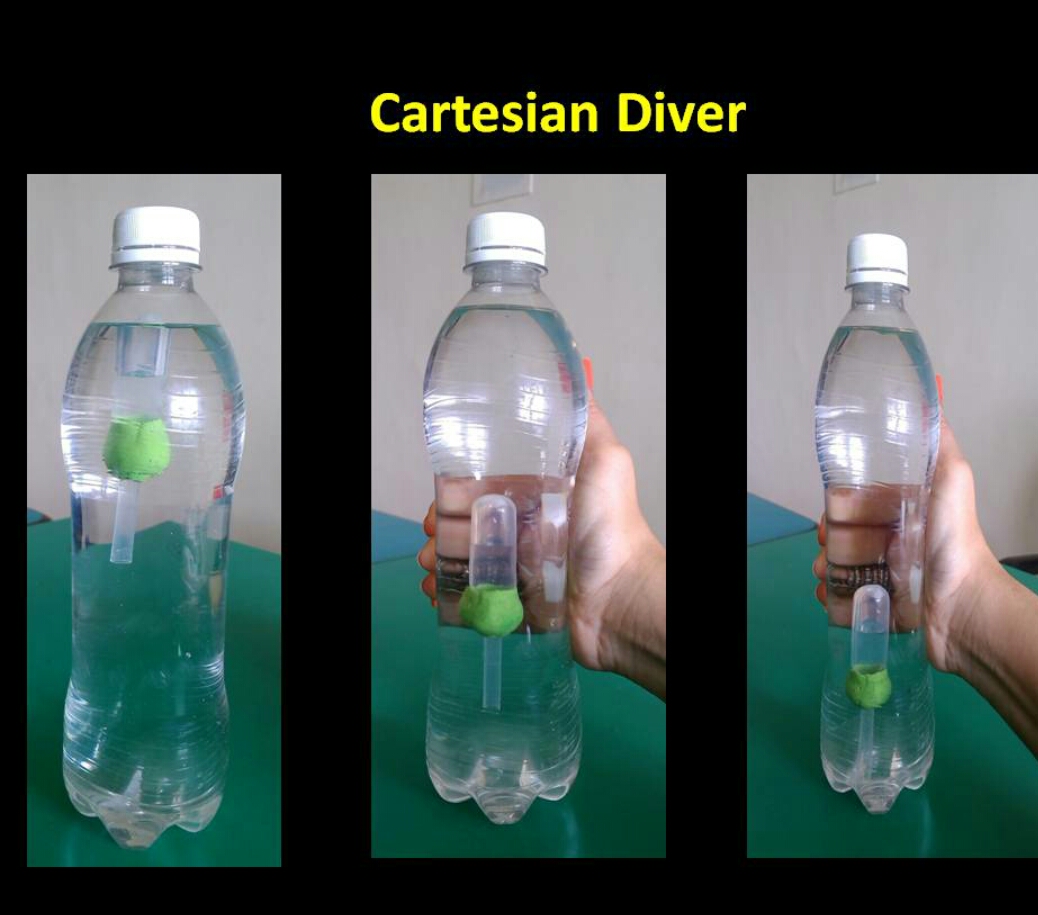 The Rustomjee Cambridge Diaries: Grade 4 Design and Technology ...