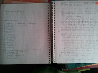 IBTEACHNU Language Arts: Interactive notebooks