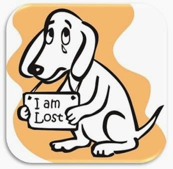 bloomingdale: lost dog: Georgia