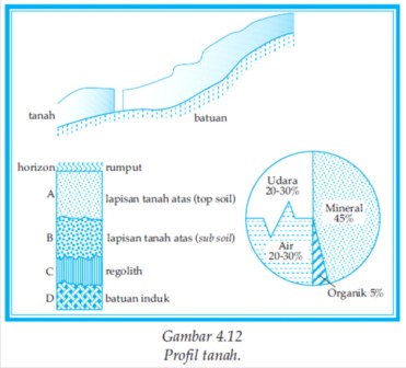 PROSES PEMBENTUKAN TANAH:PELAJARAN KU