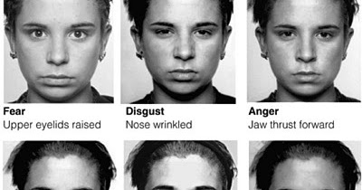 Nonverbal World - All about Nonverbal Communication: Learning micro ...