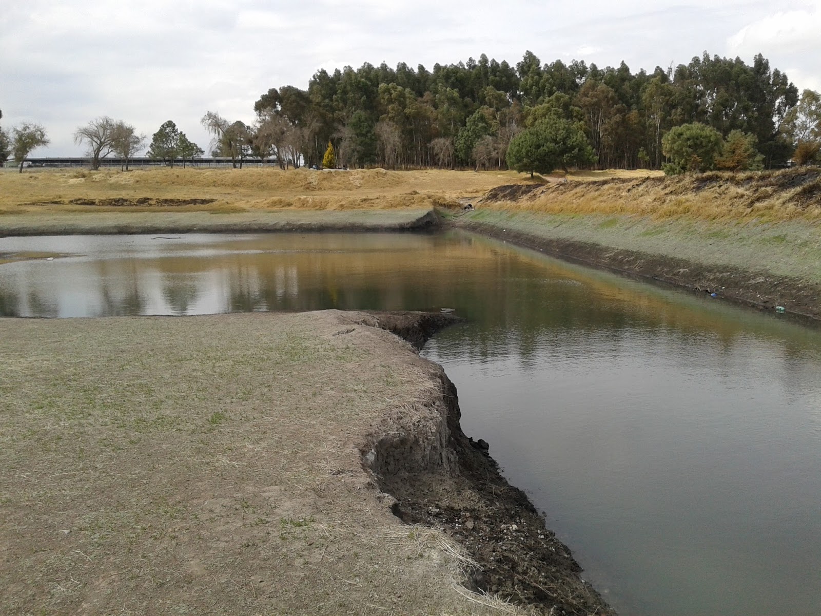 El Blog de El Divino: Parque Alameda 2000