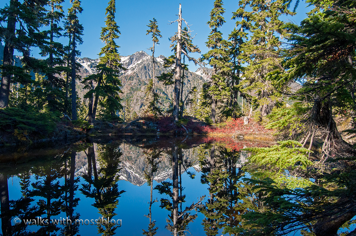 Walks with Moss: Mildred Lakes