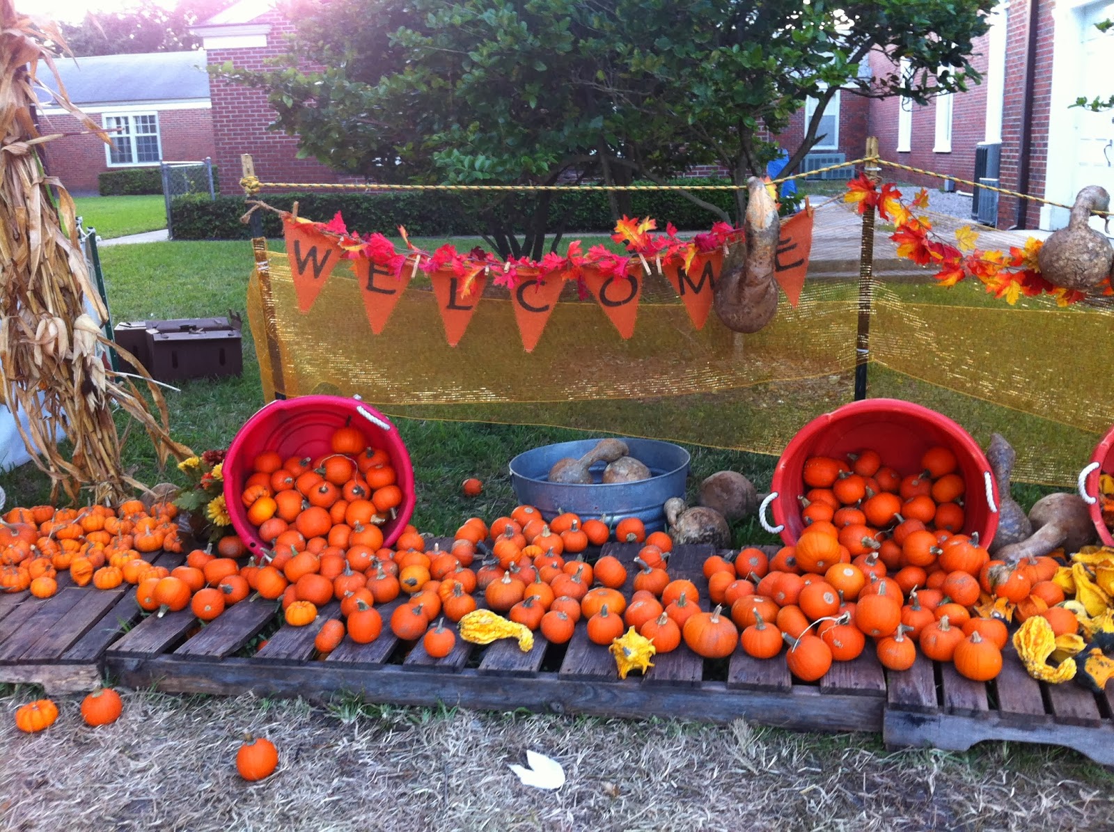 Sounds Like Chelsea's Life: Pumpkin Patch!
