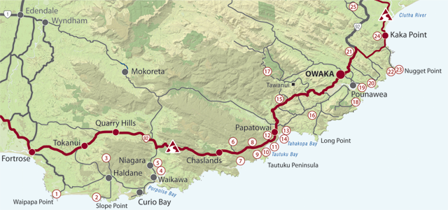 DocBec's Pensieve: Trip to the Catlins