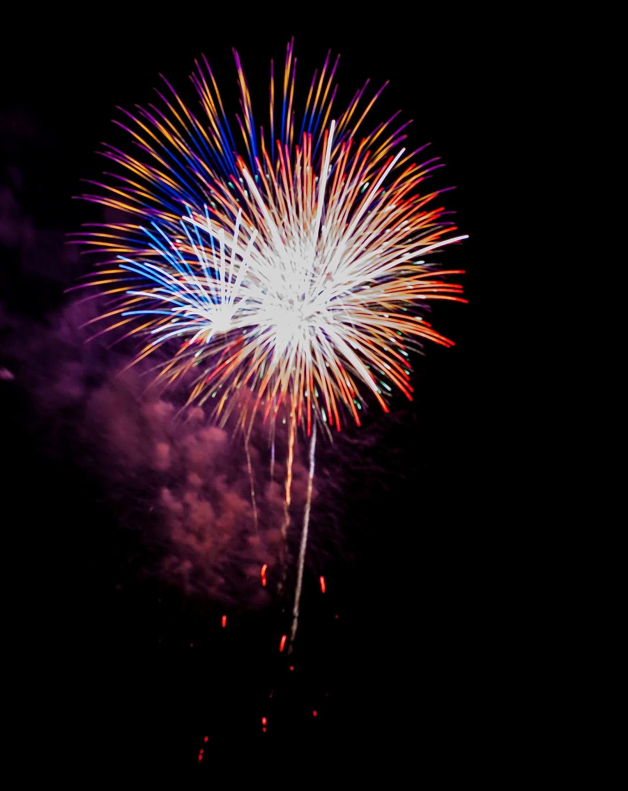 Ladee's Travels: Phoenix, Arizona - 4th of July Fireworks