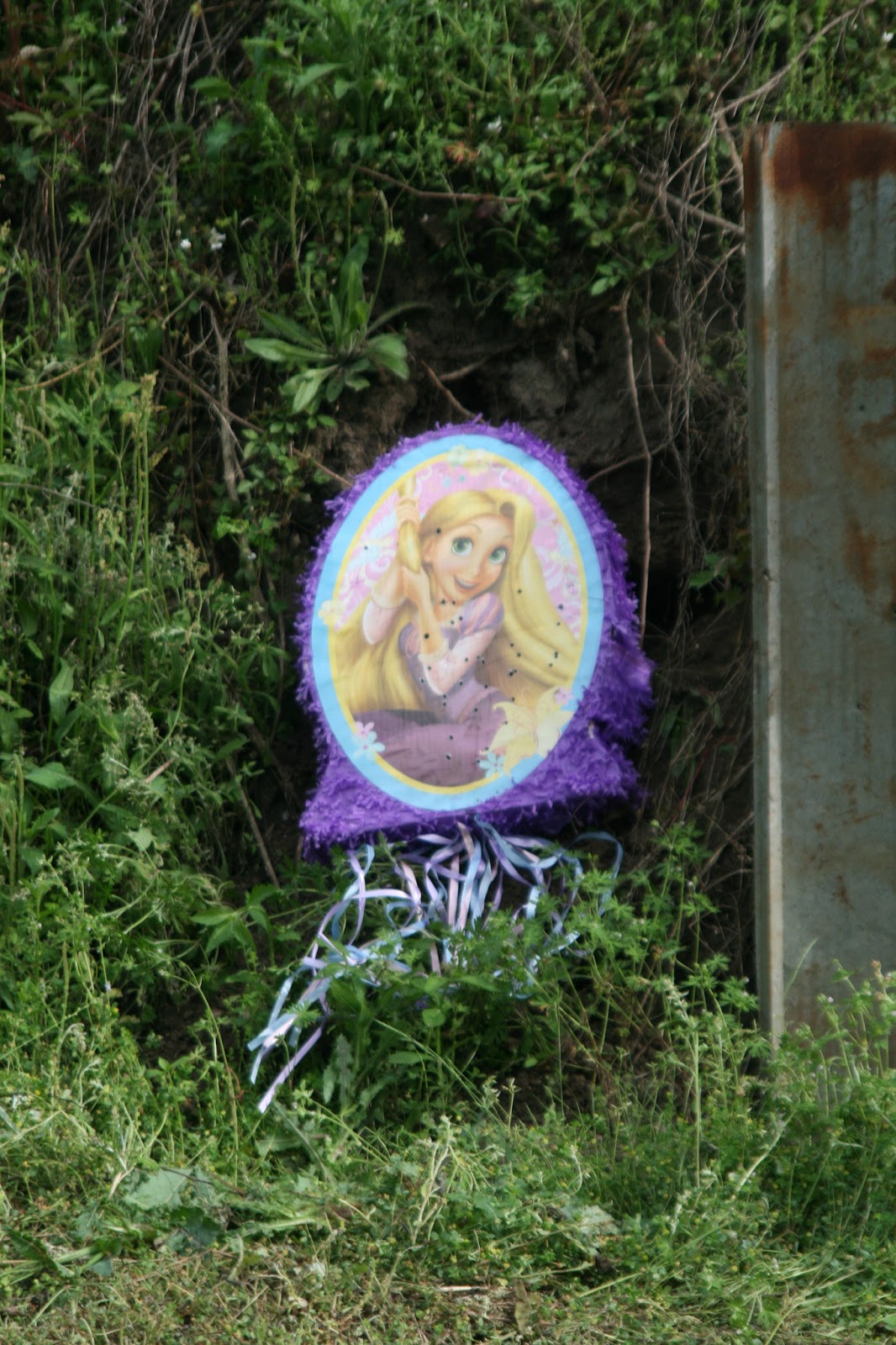 the Weed Family: What rednecks would do with a Tangled pinata.......