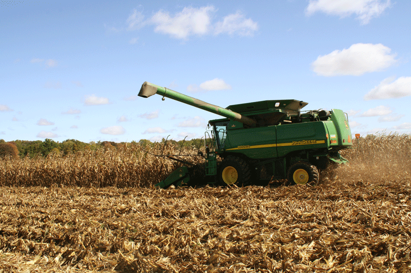 Gal in the Middle: Wrapping Up Corn Harvest 2011