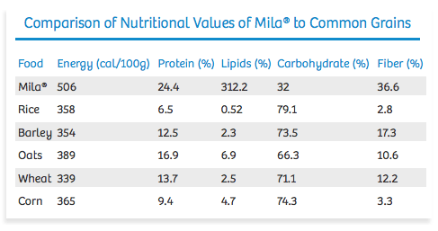 Mila (Chia Seeds) • Honey We're Home