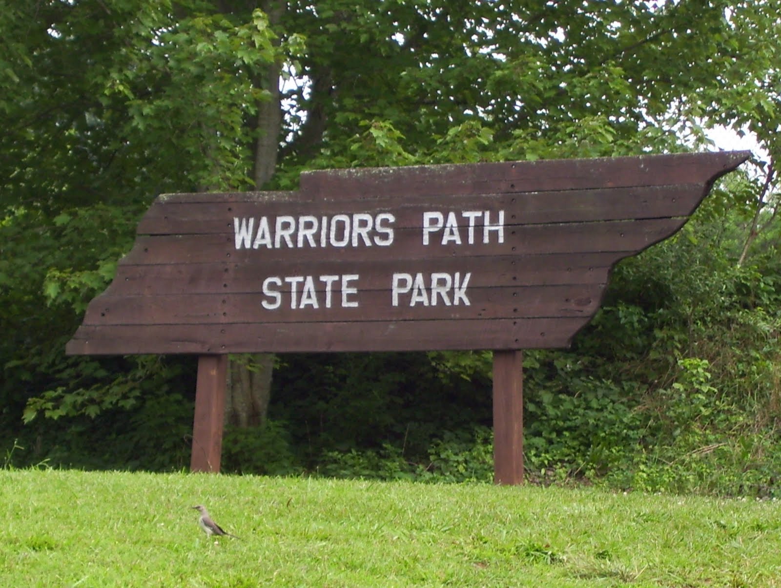 The Art of Positive Living: A Celebration at Warriors' Path State Park
