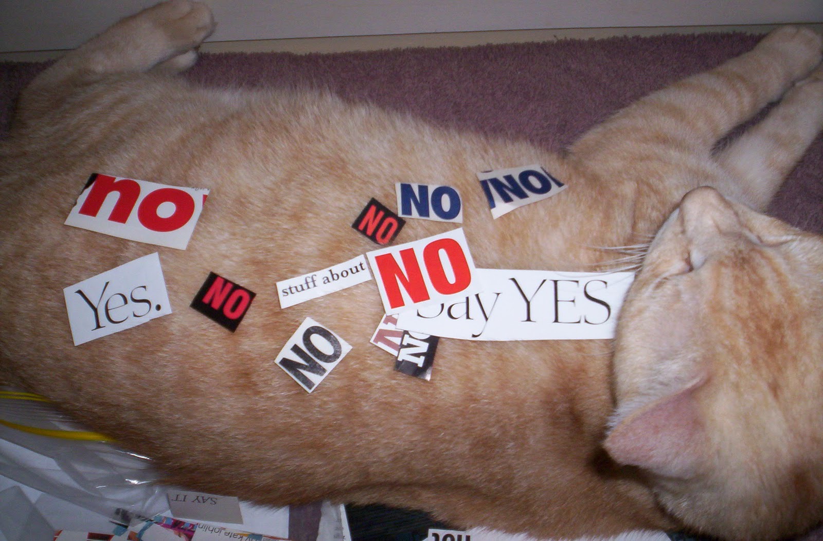 Chickollage: Bitten by the Collage Bug