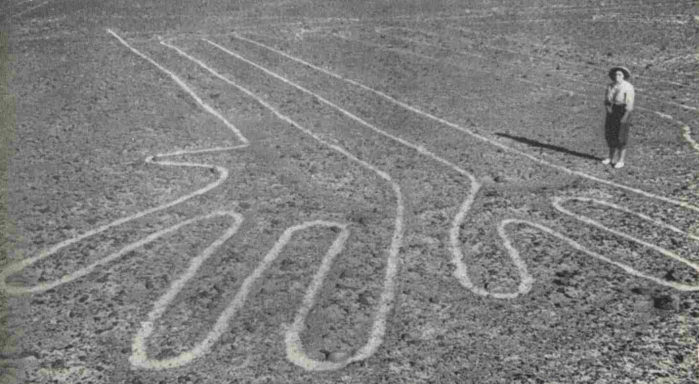 Columbia College Travelers: The Nazca Lines