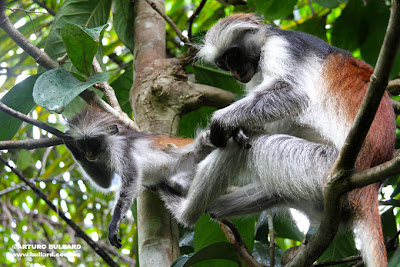 Viajes, Fotografía y Más: octubre 2011