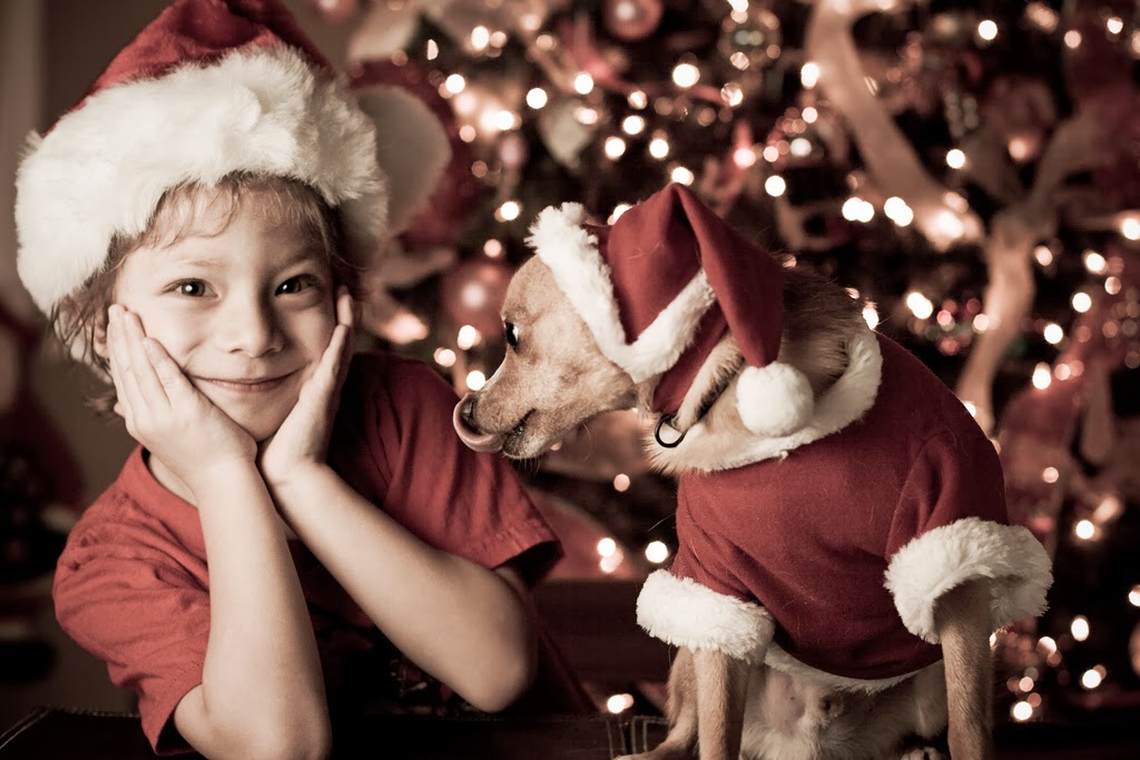 School Of Digital Photography: How To Photograph Christmas Trees