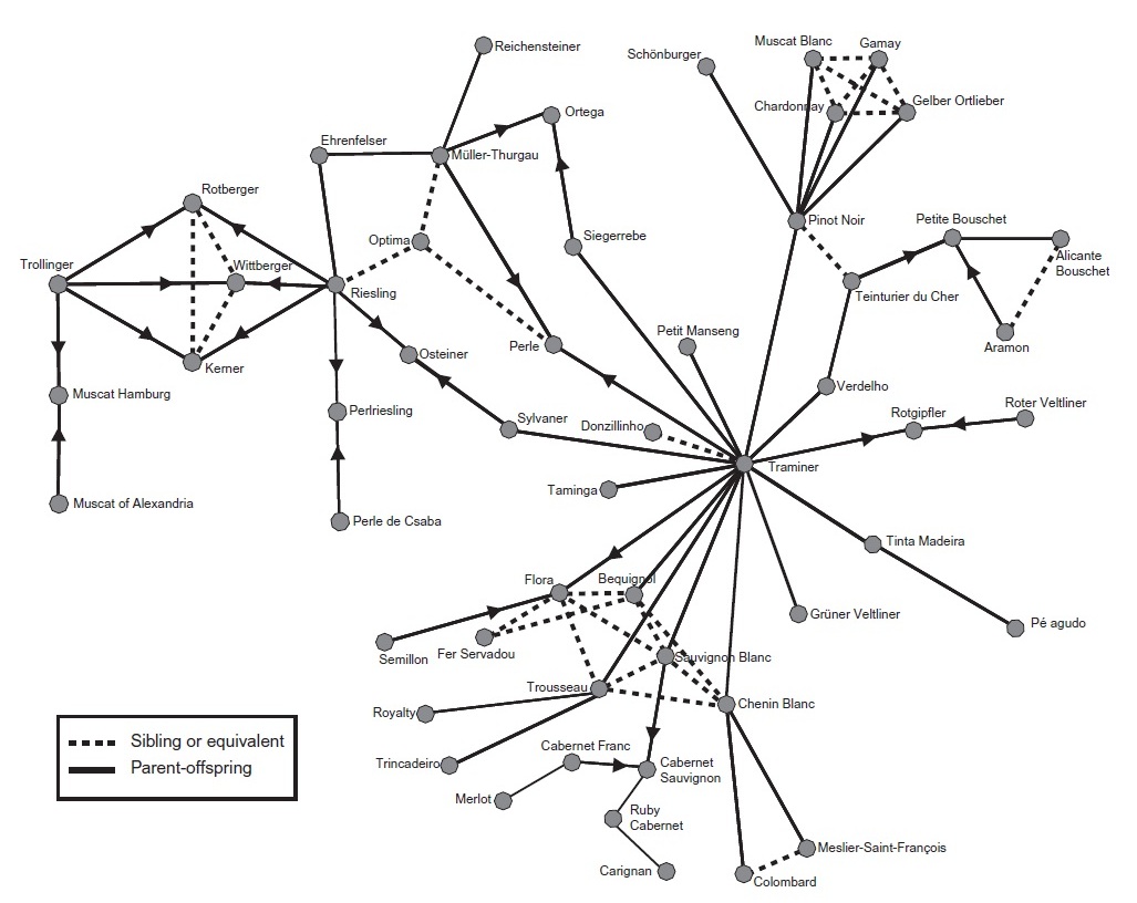 Fratelli Pasini: Falta de Sexo, Malo para las Uvas